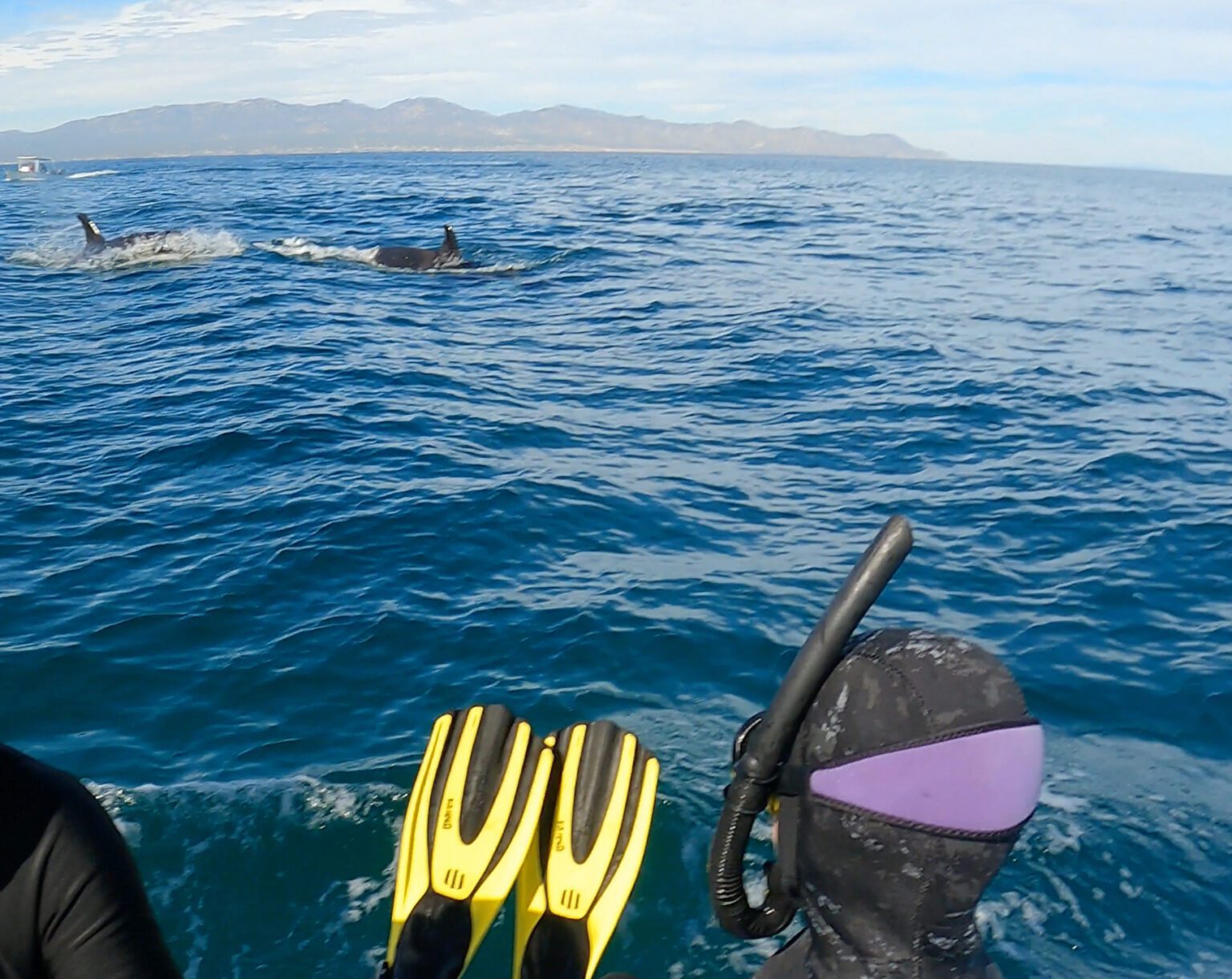 Snorkeling for Beginners - TripOutside