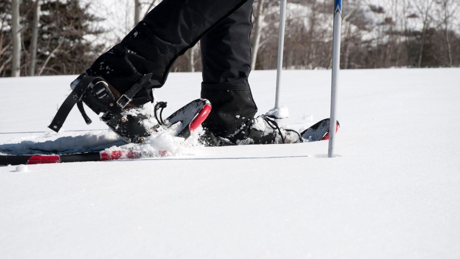 What is Snowshoeing + Tips for Beginners - TripOutside