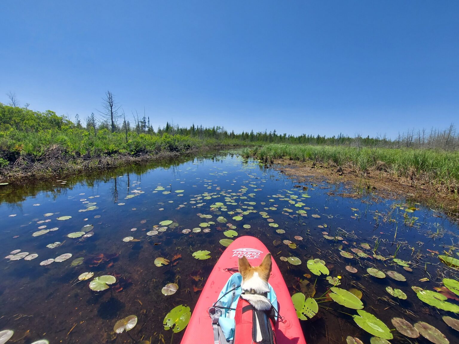 Things to Do in Door County: 3-Day Adventure Itinerary (with Map)